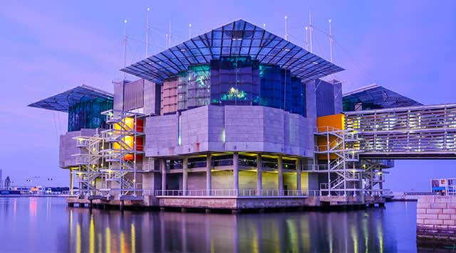 Oceanarium - Hours, prices and how to get there - Lisbon